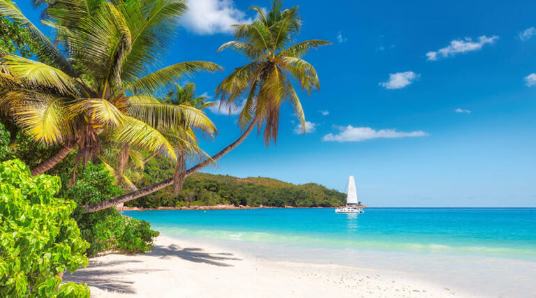 Jamaica: um Caribe cheio de personalidade - Viajar pelo Mundo