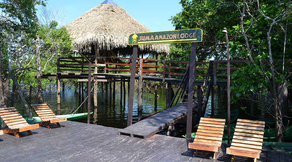 Juma Amazon Lodge: hospedagem em meio à Floresta Amazônica - Viajar ...
