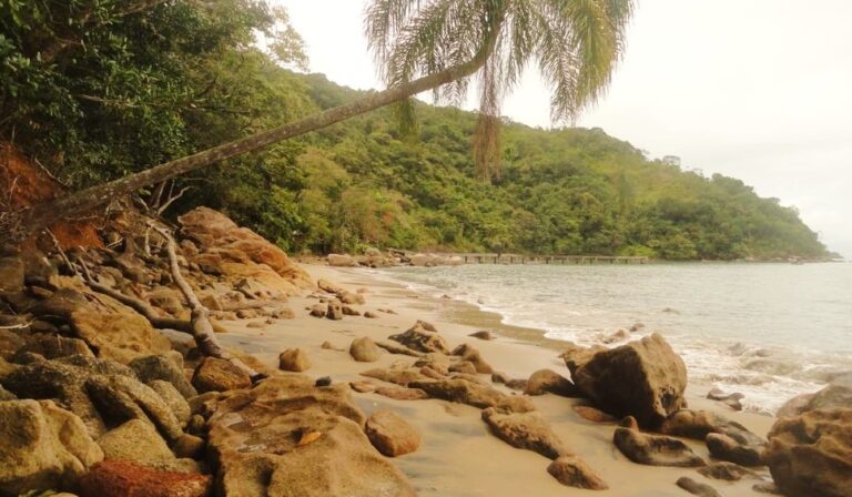 10 praias desertas em Ubatuba que você deve conhecer