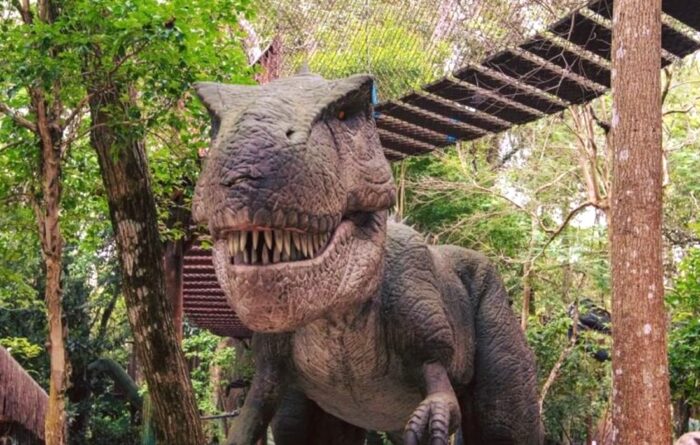 Zoo SP e Safari têm programação especial nas férias - Viajar pelo Mundo