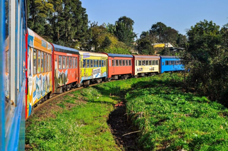 3 roteiros para viajar de trem pelo Brasil - Viajar pelo Mundo