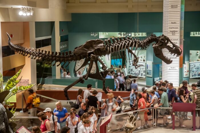 Smithsonian: conheça o maior complexo de museus do mundo